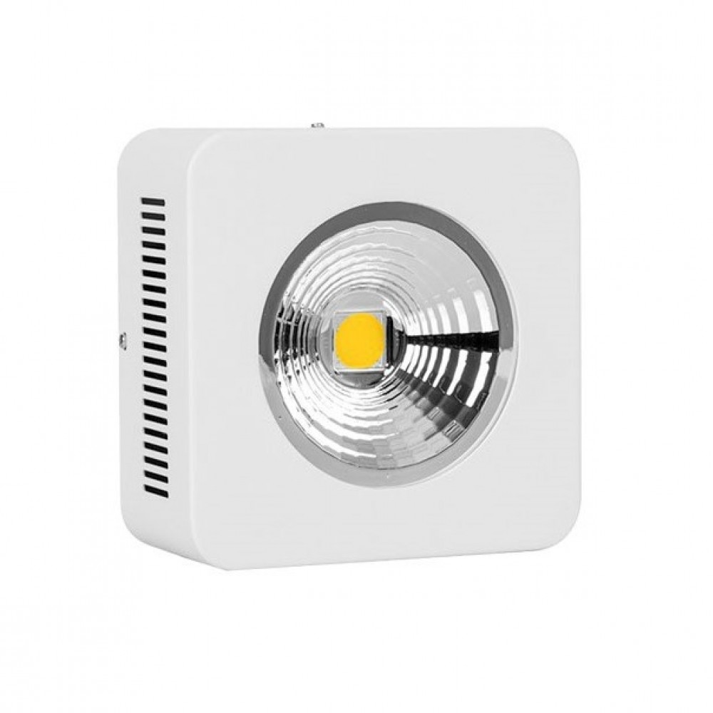 Cree CXB3590 Full Spectrum Grow Led Serisi Bitki yetiştirme lambası ...